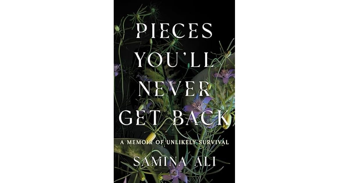 Book giveaway for Pieces You'll Never Get Back: A Memoir of Unlikely ...