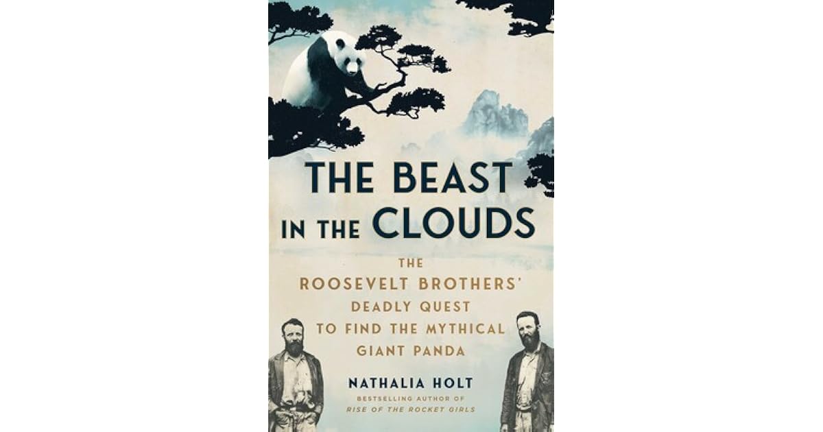 Book giveaway for The Beast in the Clouds: The Roosevelt Brothers ...
