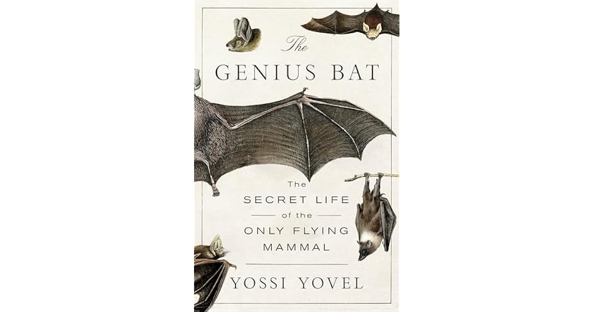 Book giveaway for The Genius Bat: The Secret Life of the Only Flying ...