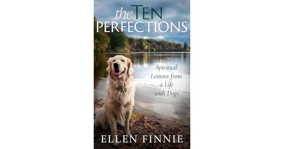 Book giveaway for The Ten Perfections: Spiritual Lessons from a Life ...