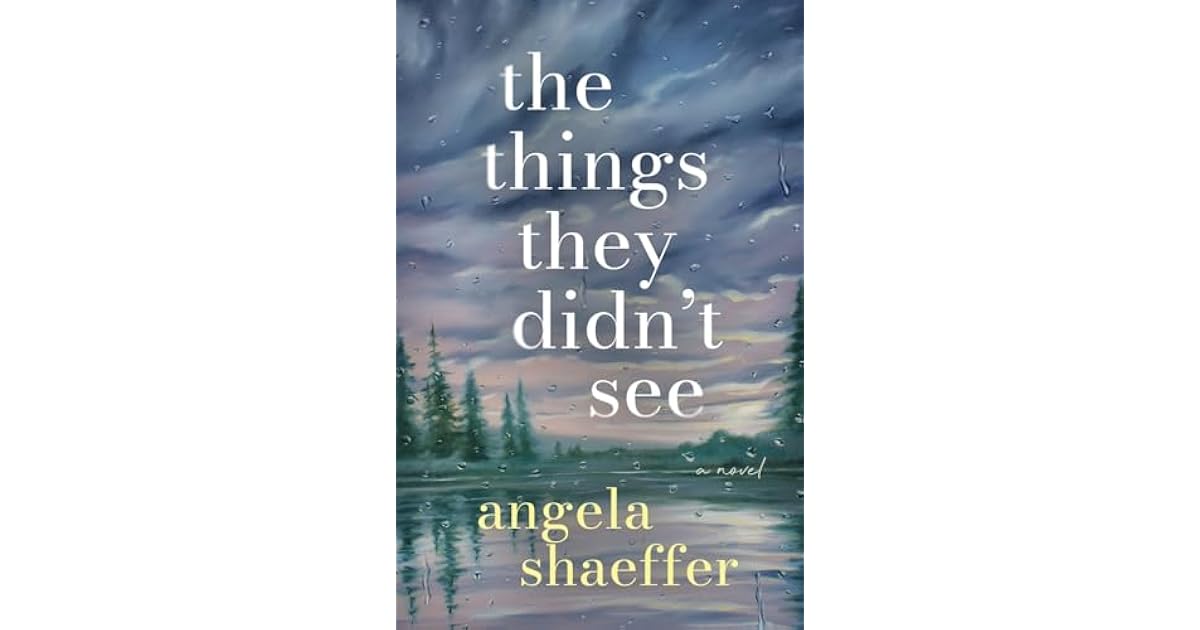 Book giveaway for The Things They Didn't See: A Novel by Angela ...