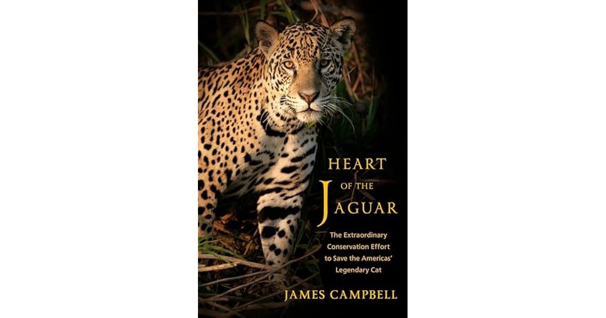 Book giveaway for Heart of the Jaguar: The Extraordinary Conservation ...
