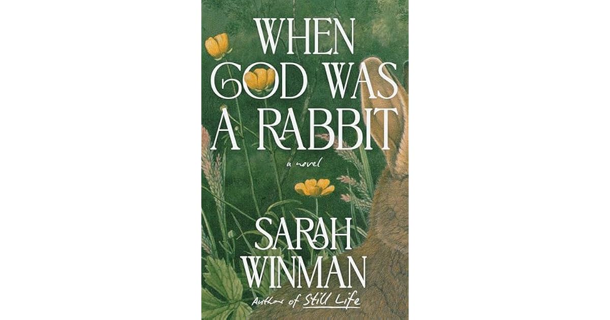 Book giveaway for When God Was a Rabbit by Sarah Winman Dec 01-Dec 15, 2025
