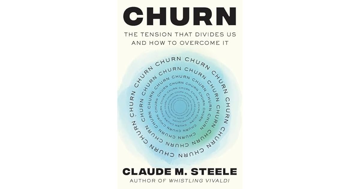 Todd (Spring Green, WI)’s review of Churn: The Tension That Divides Us ...