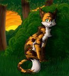 More Warriors - Spottedclan: In Memory of Spottedleaf Showing 1-20 of 20