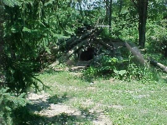 ~Survive As A Winged Wolf~ - Characters: Create Your Den Showing 1-24 of 24