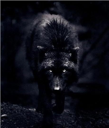Wild Wolves (A Wolf Roleplay) - Breeze Pack: Breeze Pack Characters ...