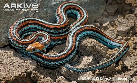 Unholy Night - Characters: Vampires Showing 1-50 of 71