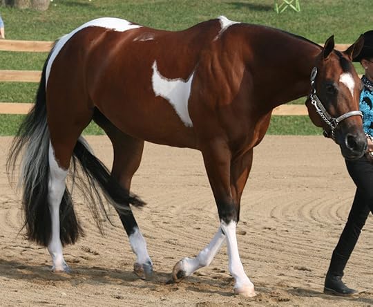 Silver Leaf Stables - Characters: Horses Showing 1-24 of 24