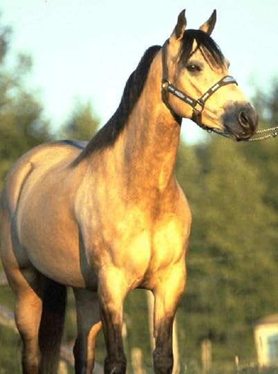 Silver Leaf Stables - Characters: Horses Showing 1-24 of 24