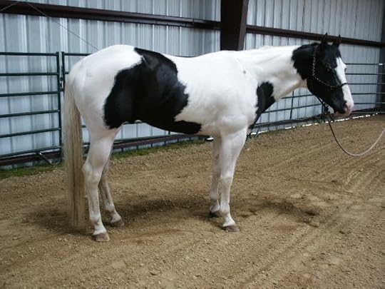 Silver Leaf Stables - Characters: Horses Showing 1-24 of 24