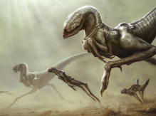 Draco, Earth's Last Hope - Draconia Showing 1-2 of 2