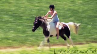Red Rose Stables {Horse Role-Play} - Characters: Make A Horse Showing 1 ...
