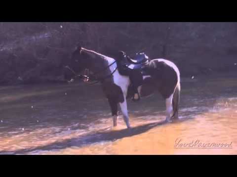 Red Rose Stables {Horse Role-Play} - Characters: Make A Horse Showing 1 ...