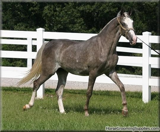 Red Rose Stables {Horse Role-Play} - Characters: Make A Horse Showing 1 ...