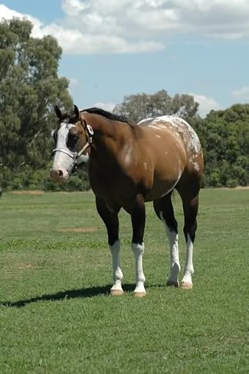 Red Rose Stables {Horse Role-Play} - Characters: Make A Horse Showing 1 ...