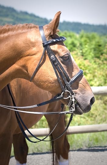 Red Rose Stables {Horse Role-Play} - Characters: Make A Horse Showing 1 ...