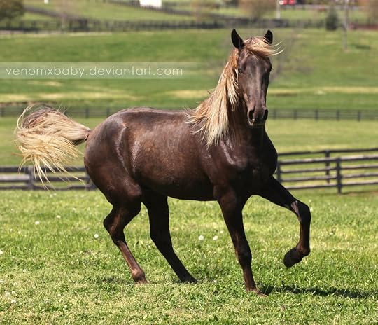 Red Rose Stables {Horse Role-Play} - Characters: Make A Horse Showing 1 ...
