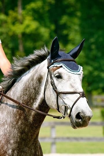 Red Rose Stables {Horse Role-Play} - Characters: Make A Horse Showing 1 ...