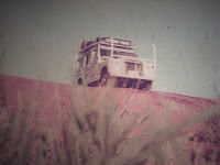 Rock Star: The Story of Reg Sprigg - an Outback Legend by Kristin ...