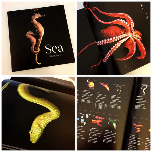 Sea by Mark Laita | Goodreads