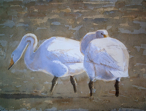 Bird Impressions: A Personal View of Birds by Darren Rees | Goodreads