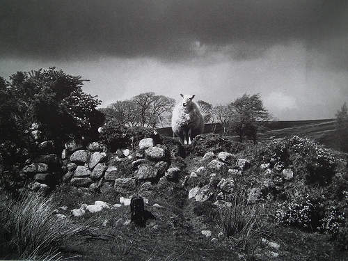 Edwin Smith : Photographs, 1935-1971 by Edwin George Herbert Smith ...