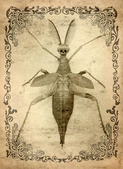 The Insect God (The Vinegar Works, #2) by Edward Gorey | Goodreads