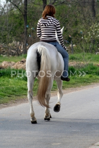 Humans/Supernatural creatures - Characters(Human) Showing 1-36 of 36