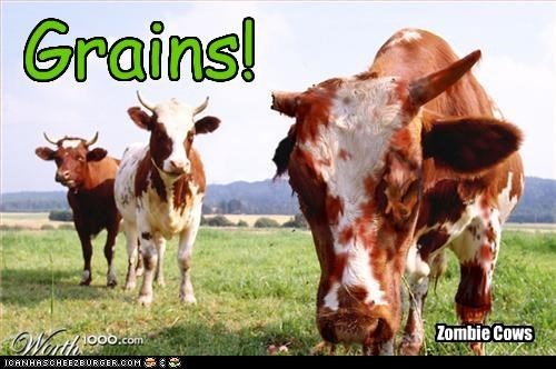 Cows by Matthew Stokoe | Goodreads