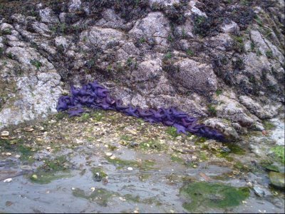 Flower Rock Texada Island | Best Flower Site