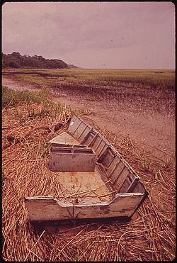 Flying Africans: Literature on the Igbo Landing (5 books)