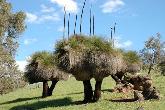 Grug Learns to Fly by Ted Prior | Goodreads