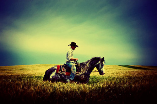 A Broken Cowboy by Renee Phillips | Goodreads