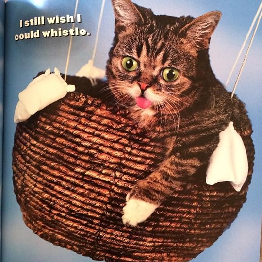 Lil BUB's Lil Book: The Extraordinary Life of the Most Amazing Cat on ...