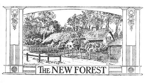 The New Forest by Elizabeth Godfrey | Goodreads