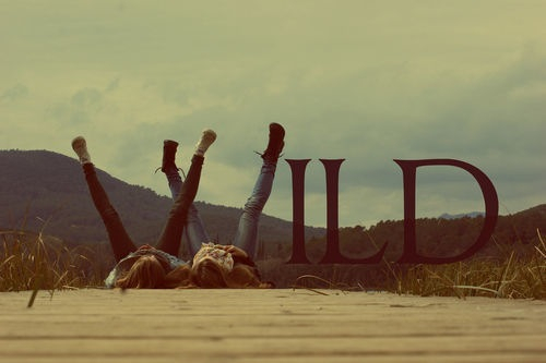 The Wild Side (The Wild Side, #1) by R.K. Lilley | Goodreads