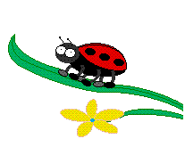 The Little Ladybug by Amelia May | Goodreads