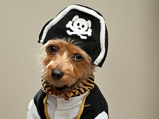 The Pirate Dogs by David B. Riley | Goodreads