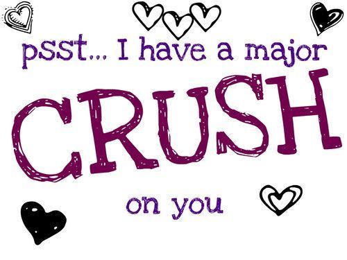 Just a Little Crush (Crush, #1) by Renita Pizzitola | Goodreads