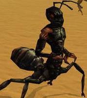 Daughter of the Empire (The Empire Trilogy, #1) by Raymond E. Feist ...