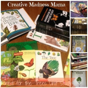 My Leaf Book by Monica Wellington | Goodreads