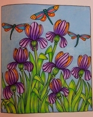 Color Me Happy: 100 Coloring Templates That Will Make You Smile (Volume ...