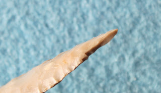 John Bradford Branney's Blog