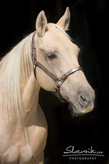 The Silver Brumby by Elyne Mitchell — Reviews, Discussion, Bookclubs, Lists