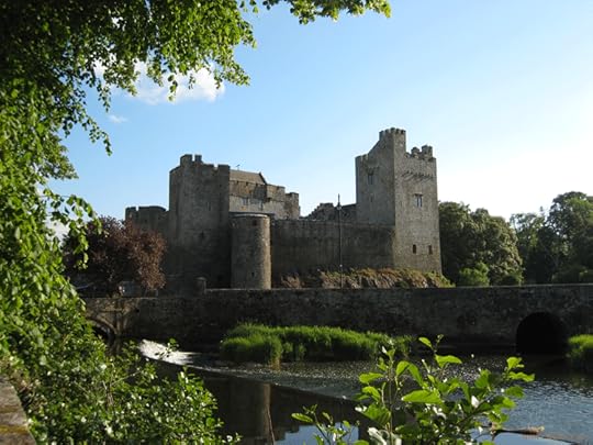 Medieval Irish buildings, 1100–1600 by Tadhg O'Keeffe | Goodreads