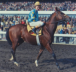 The Kingmaker: How Northern Dancer Founded a Racing Dynasty by Avalyn ...