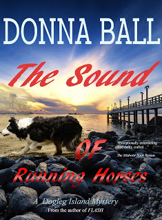 Donna Ball (Author of A Year on Ladybug Farm)