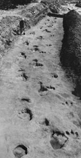 Karen Magill (Author of A Little Poison)