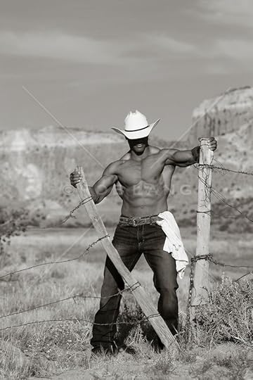 Cowboy Crazy (The Dalton Boys, #1) by Em Petrova | Goodreads